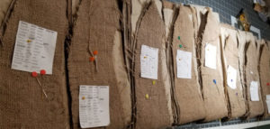 Clapping Tree Stoles – Creative stoles for the modern pastor